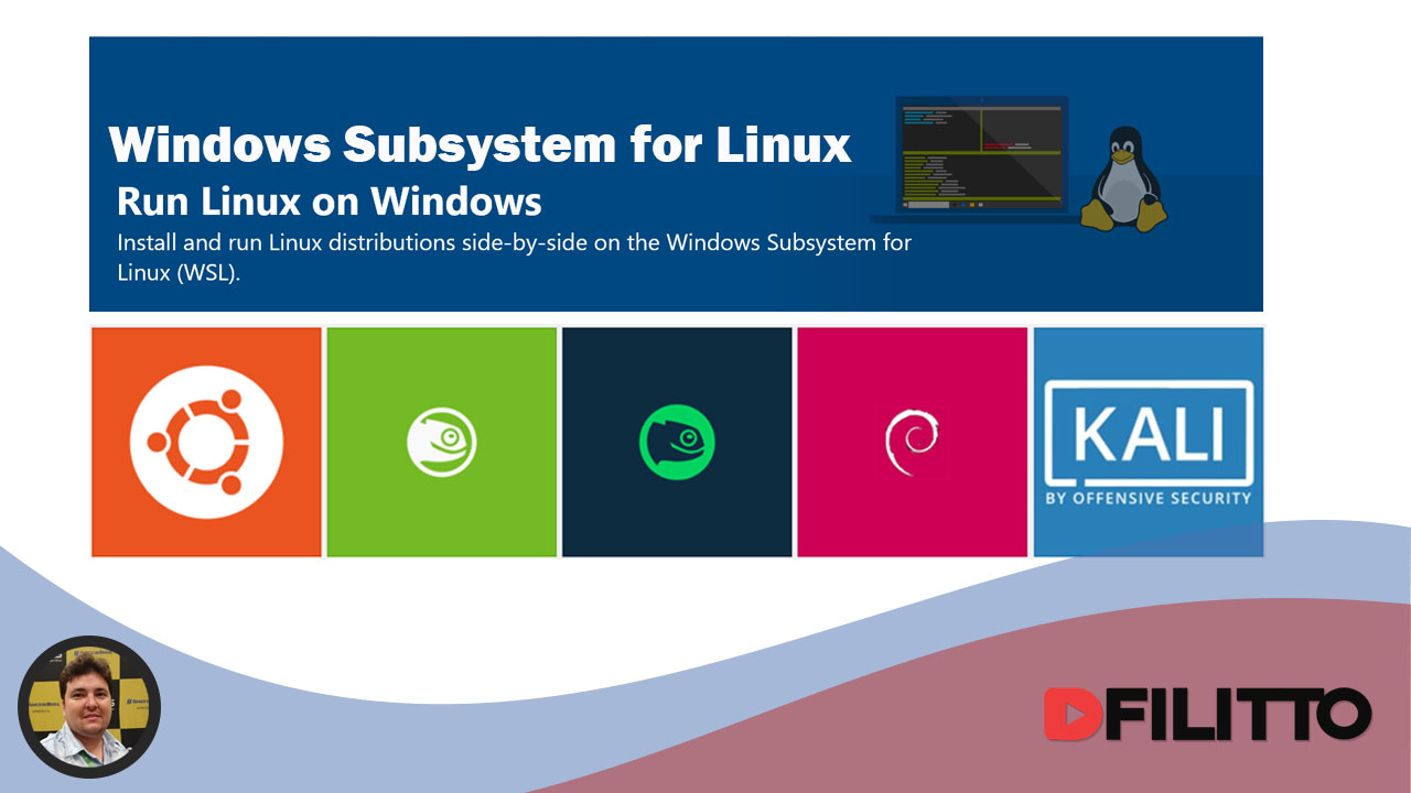 Windows Subsystem for Linux (WSL) - dfilitto